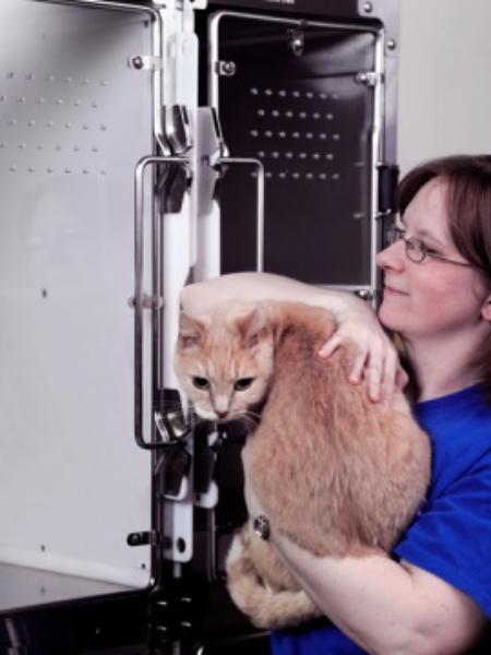 Shor-line cat suite, double mobile unit with top/end panels - Jan F ...